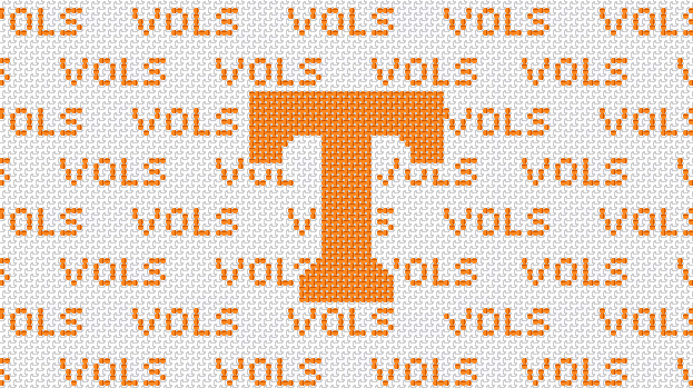 TENNESSEE | Needlepoint by Laura